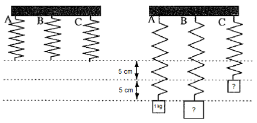 Vertical Springs - Wize University Physics Textbook (Master) | Wizeprep