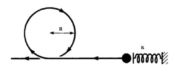 compressed spring has