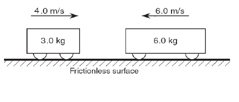 [Solution] Momentum: Collision | Wizeprep