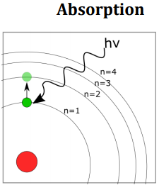 Understanding the Bohr Model - Wize University Chemistry Textbook ...
