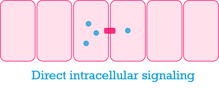 Types of Cell Communication - Wize University Biology Textbook | Wizeprep