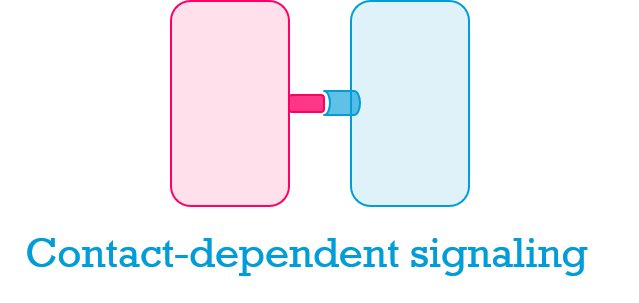 Types of Cell Communication - Wize University Biology Textbook | Wizeprep