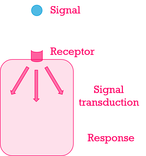 Types of Cell Communication - Wize University Biology Textbook | Wizeprep