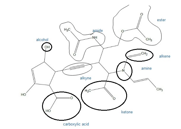 Alcohol Functional Group Examples