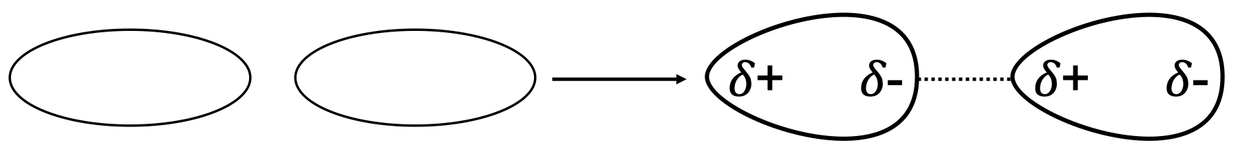 Other Intermolecular Forces (more detailed) - Wize University Chemistry ...
