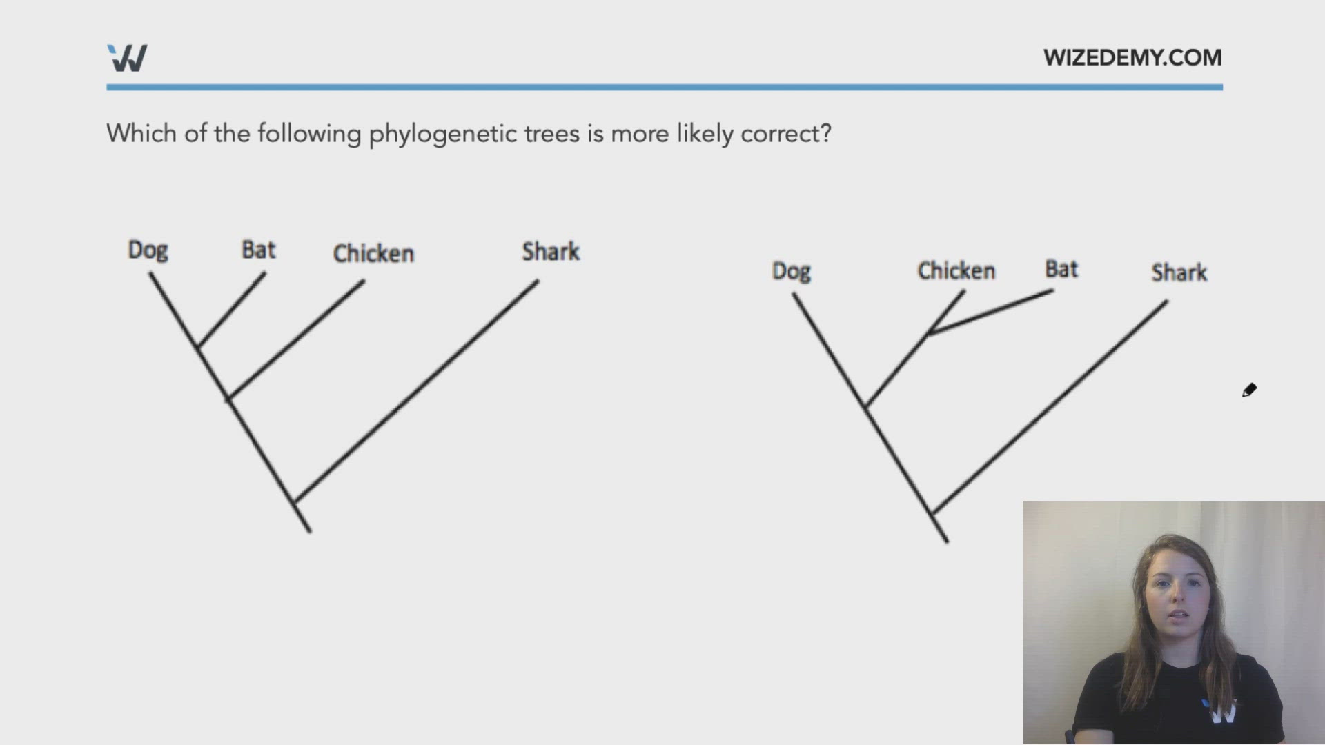 Classifying Organisms: Cladistics - Wize High School Grade 11 Biology ...