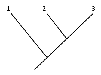 [Solution] Practice: Using Trait Tables to Build Phy… | Wizeprep