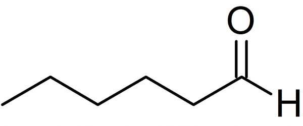 [Solution] Functional group | Wizeprep