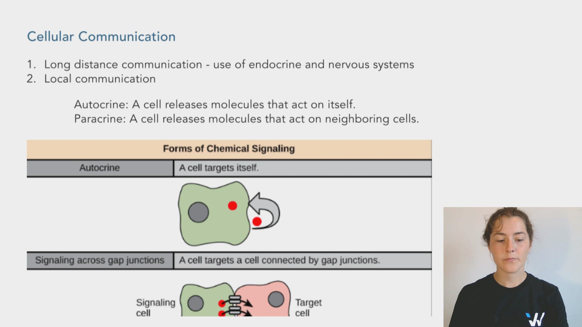 Cell-Cell Communication - Wize University Physiology Textbook | Wizeprep