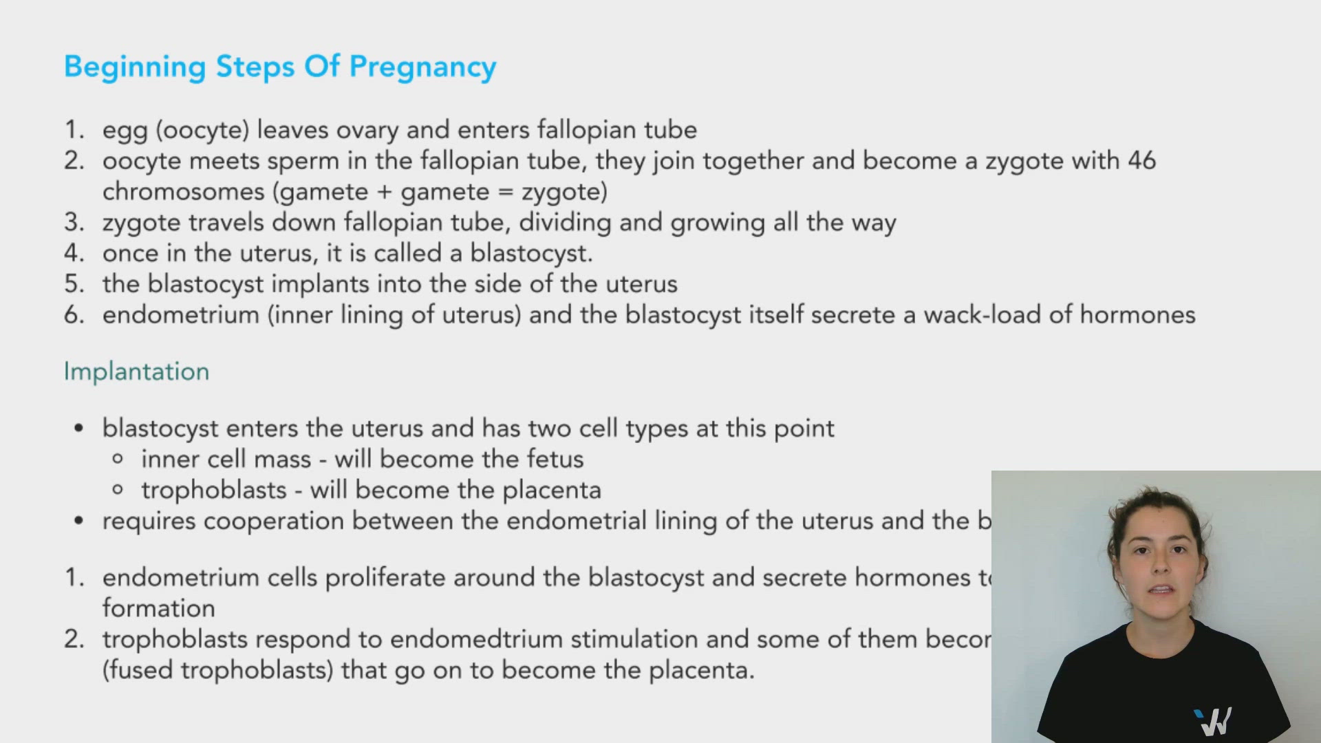 Pregnancy - Wize University Physiology Textbook | Wizeprep