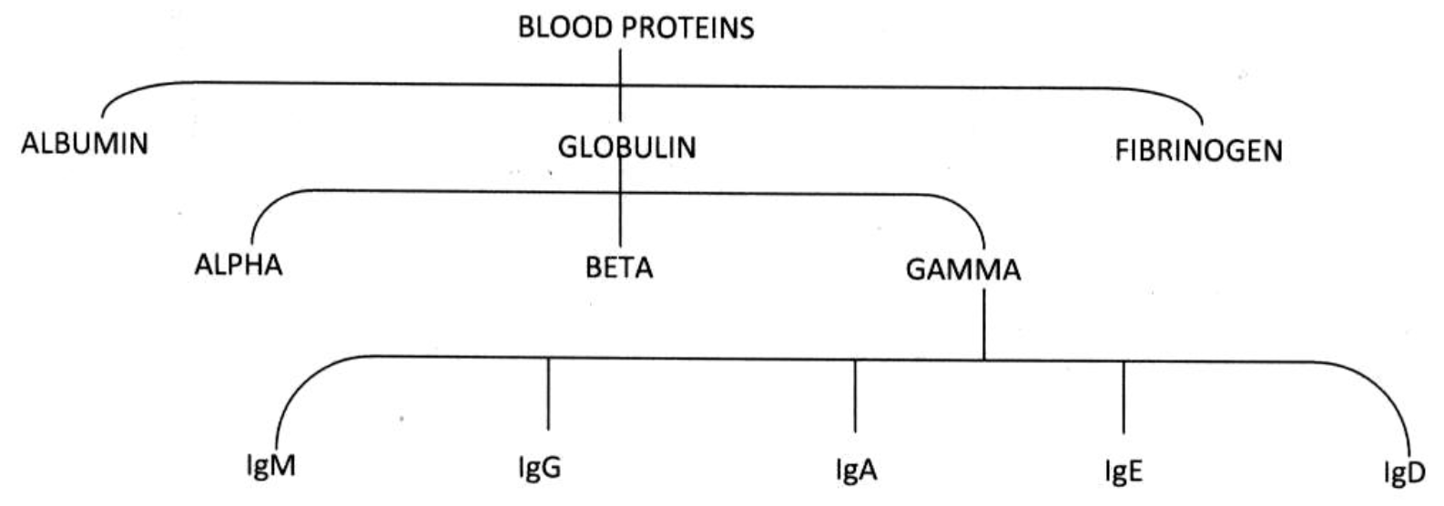 Introduction - Wize University Physiology Textbook | Wizeprep