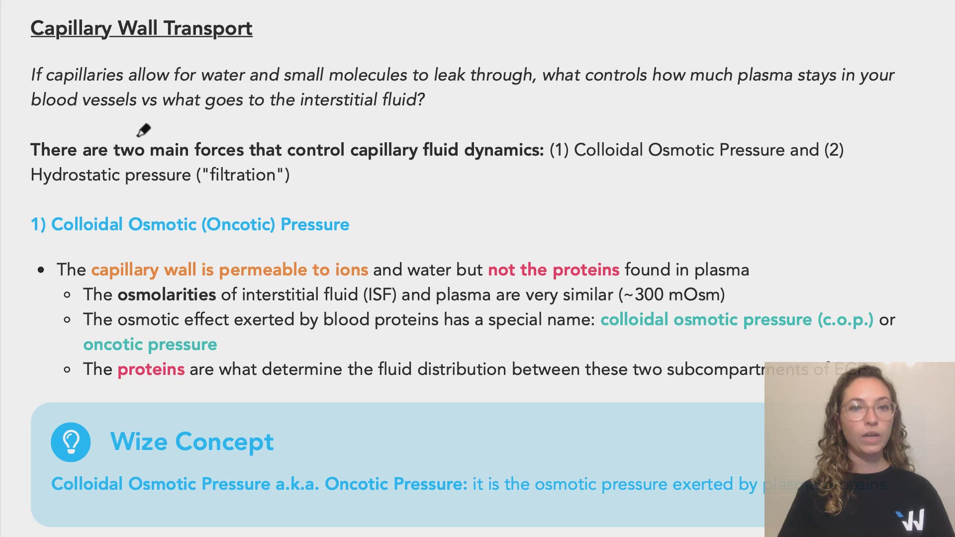 Capillary Wall Transport - Wize University Physiology Textbook | Wizeprep