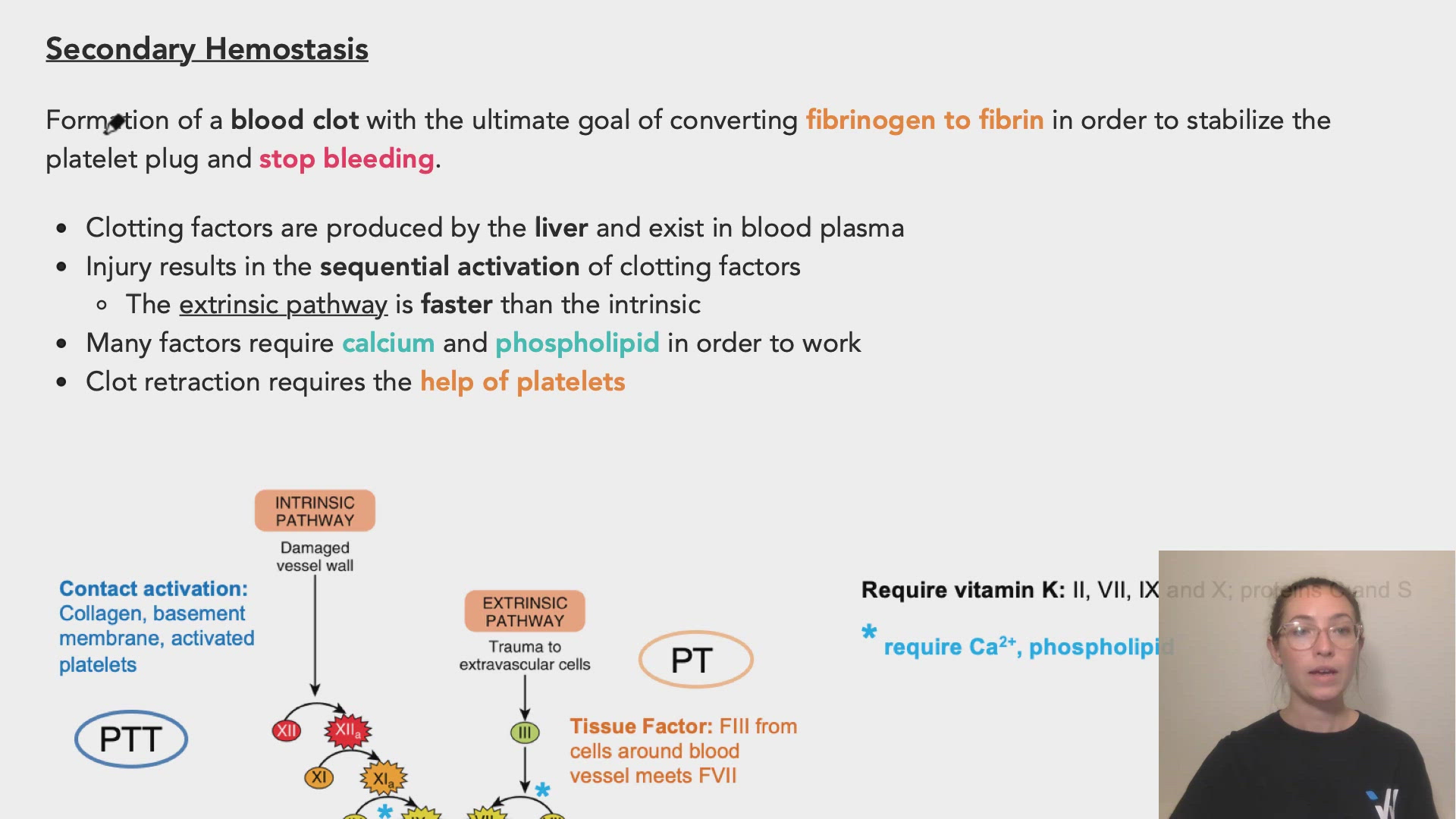 Hemostasis - Wize University Physiology Textbook | Wizeprep