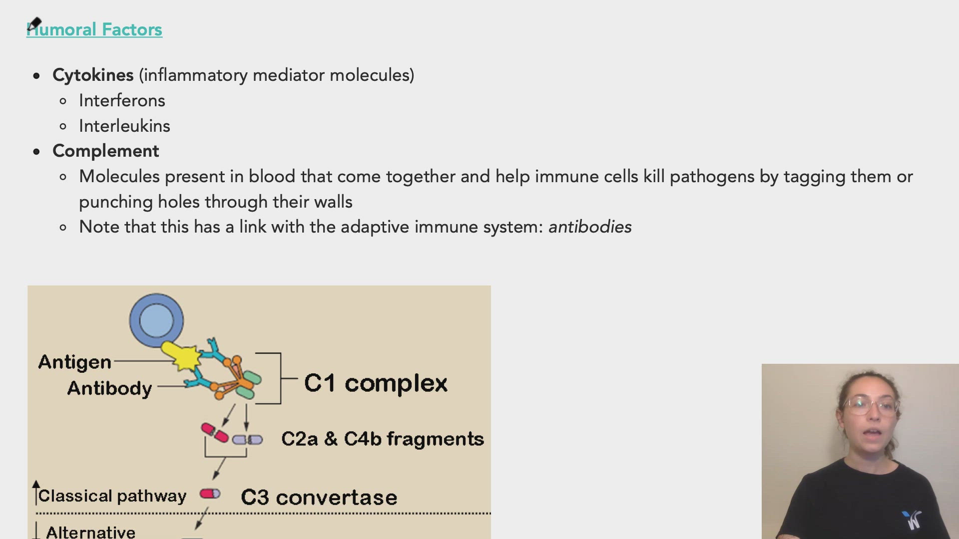Innate Immune System - Wize University Physiology Textbook | Wizeprep