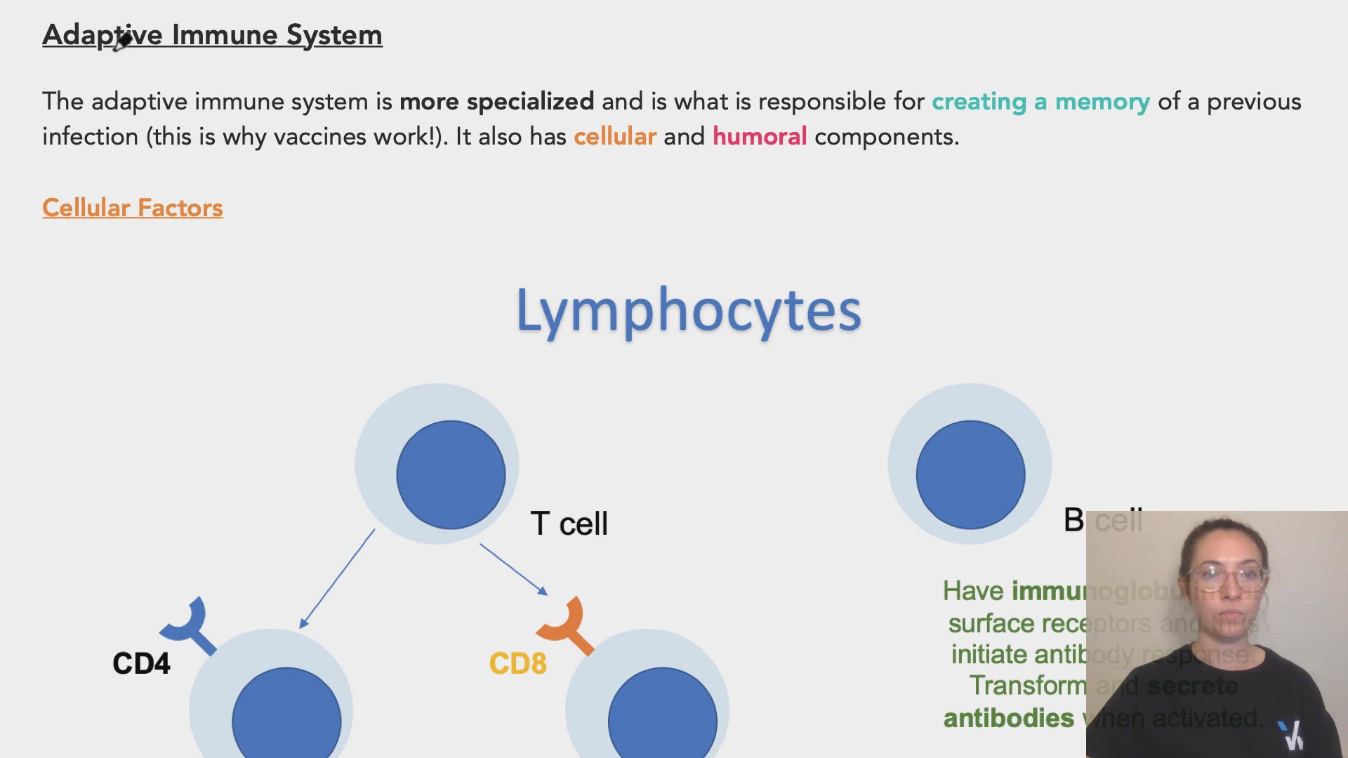 Adaptive Immune System - Wize University Physiology Textbook | Wizeprep