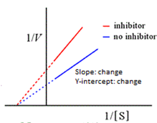 Enzyme Inhibition - Wize University Biochemistry Textbook | Wizeprep