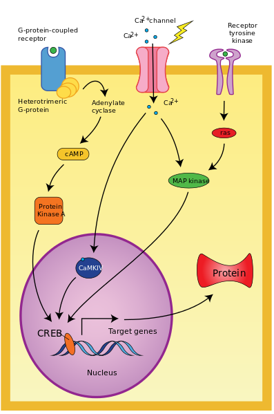 [Solution] Consider the following scenario for this … | Wizeprep