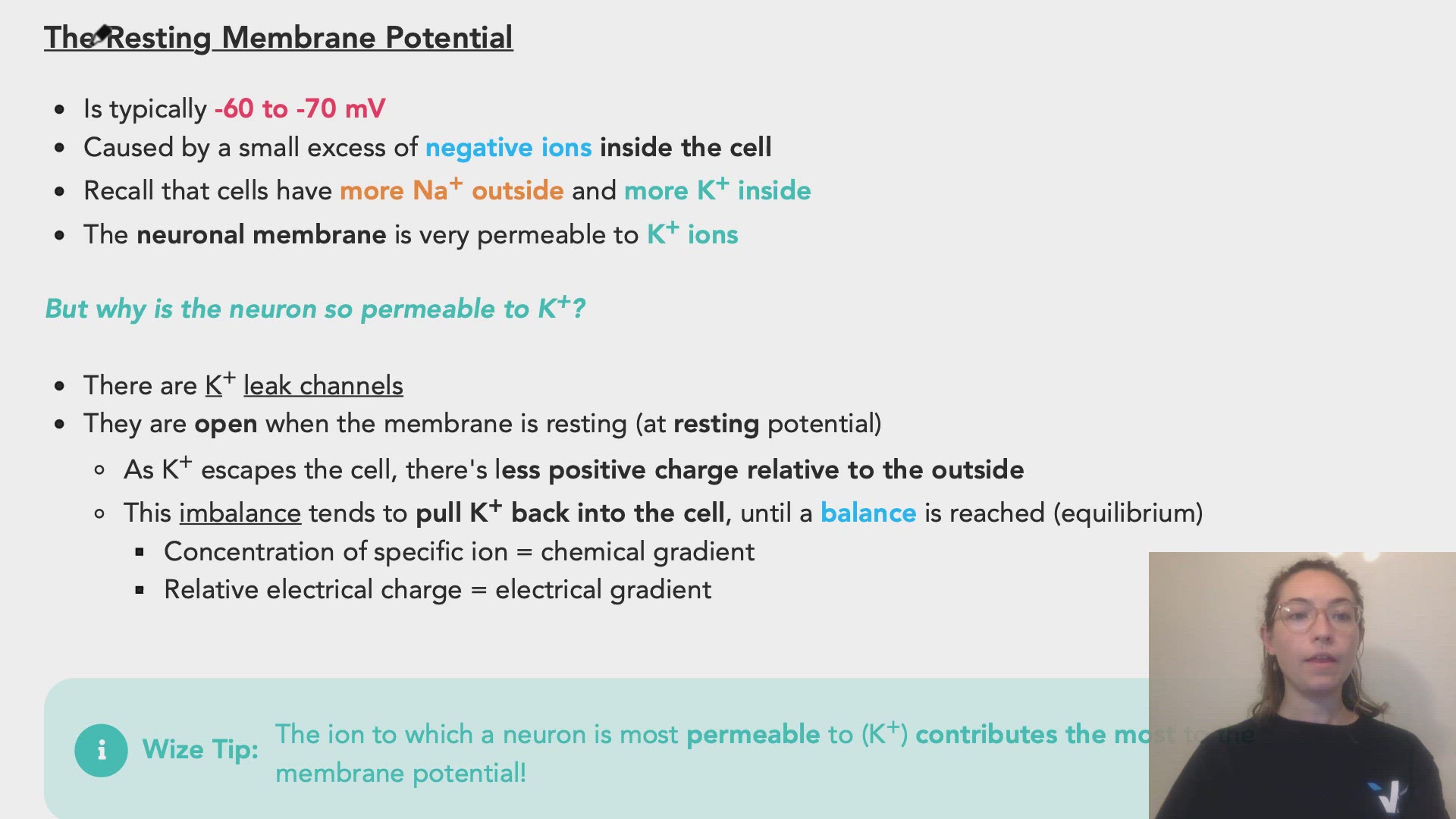 Resting Membrane Potential - Wize University Physiology Textbook | Wizeprep