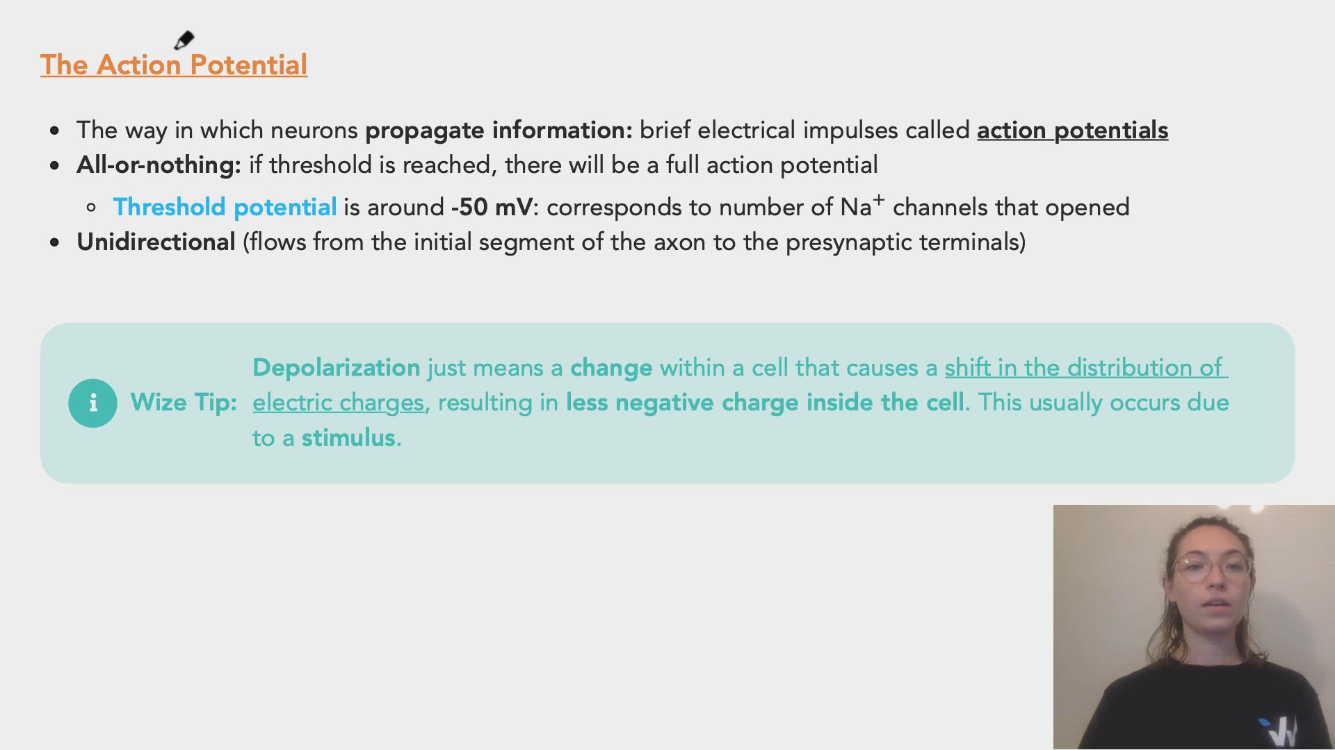 Action Potentials - Wize University Physiology Textbook | Wizeprep
