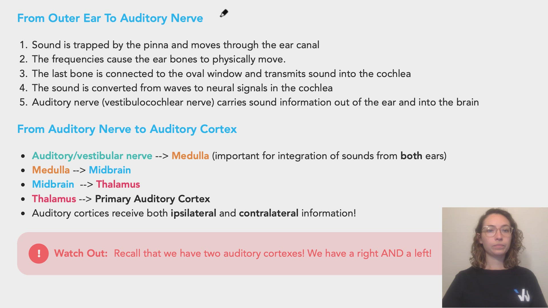 Auditory Modality - Wize University Physiology Textbook | Wizeprep
