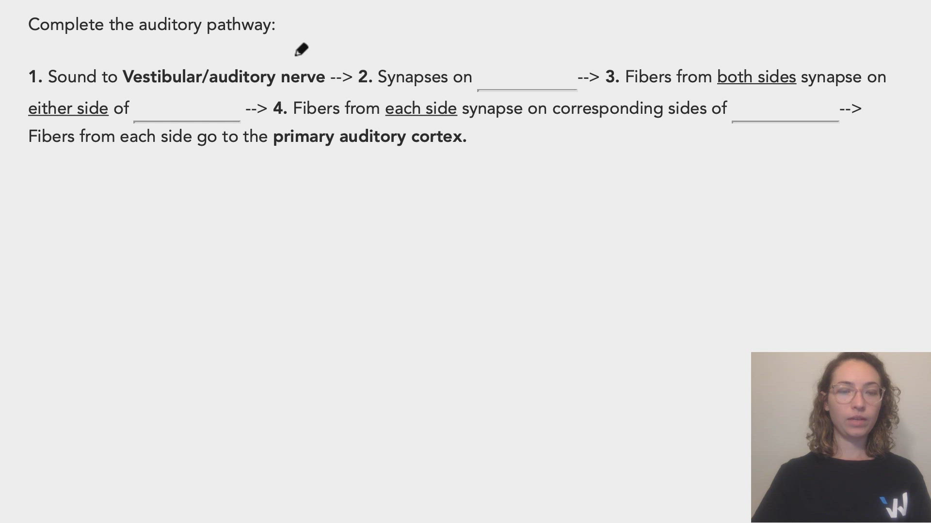 Auditory Modality - Wize University Physiology Textbook | Wizeprep