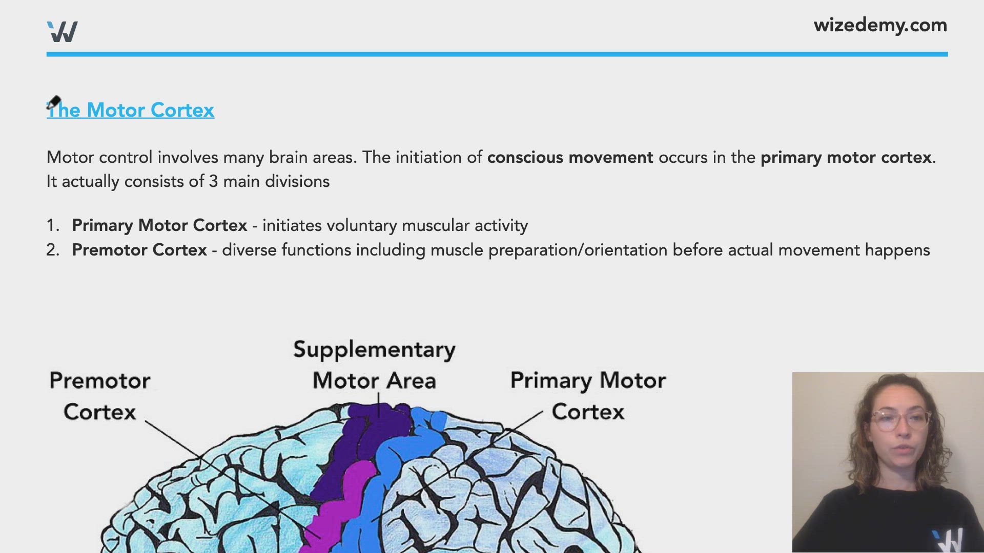 Motor Behavior and Reflexes [more detailed] - Wize University ...