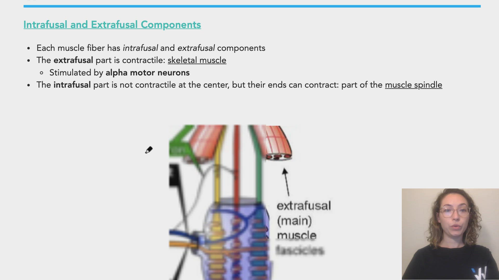 Motor Behavior and Reflexes [more detailed] - Wize University ...