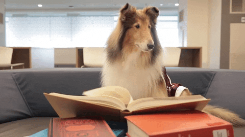 How to Improve Your Memory | Wizeprep Blog