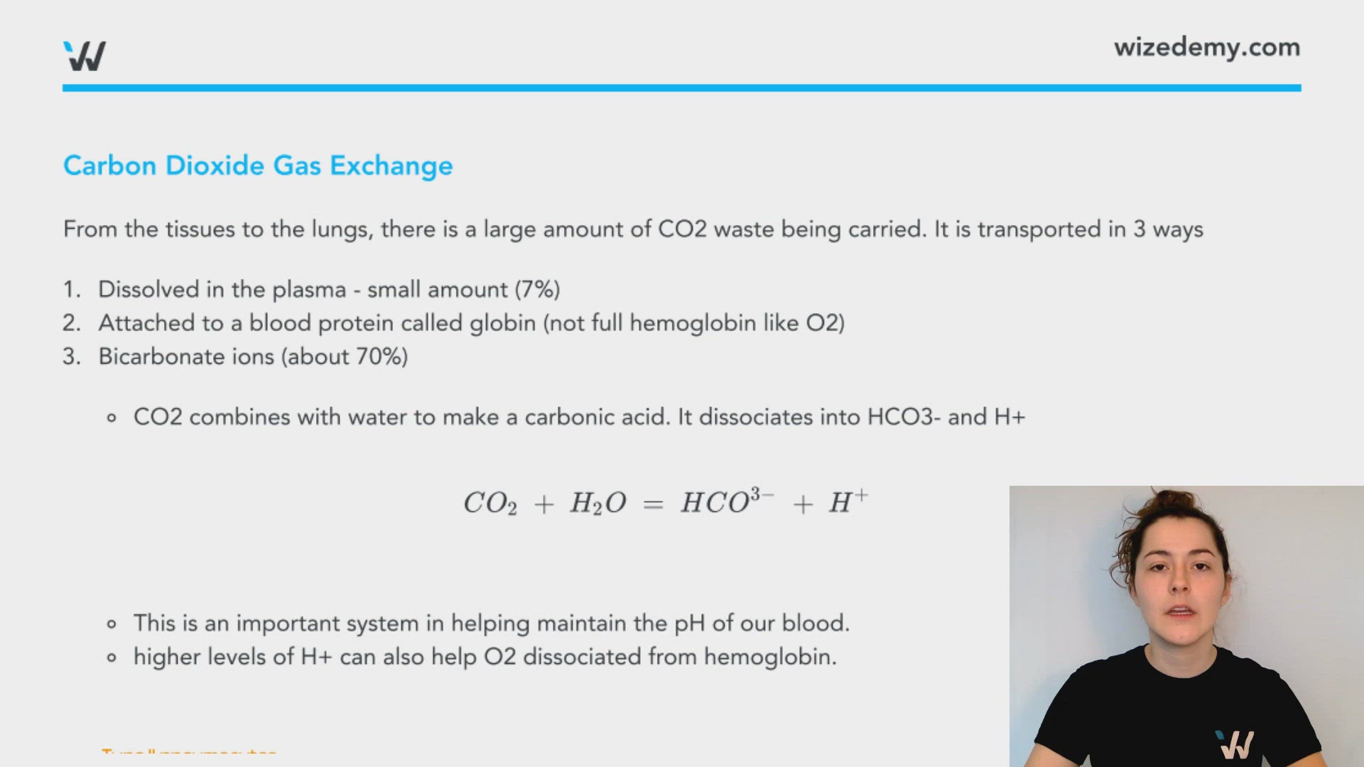 Gas Exchange and Control - Wize University Physiology Textbook | Wizeprep
