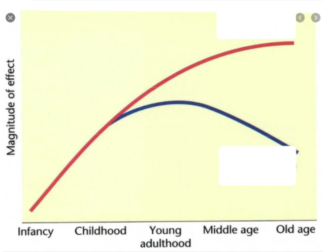 Types of Intelligence - Wize University Psychology Textbook | Wizeprep