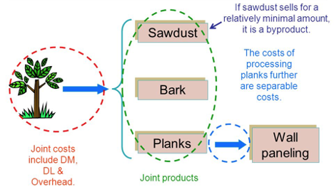 Sell or Process Further - Wize University Managerial Accounting ...