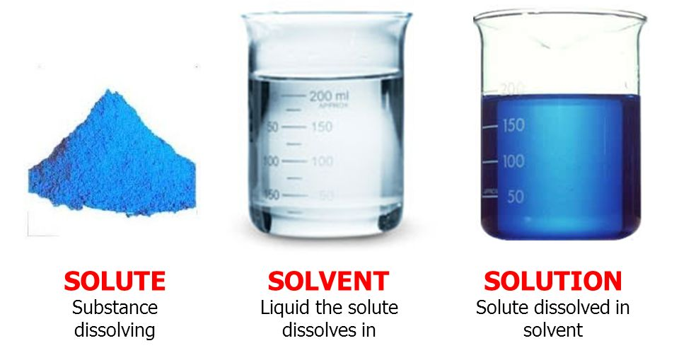 Introduction to Equilibrium - Wize High School Grade 12 Chemistry ...