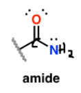 Amides - Wize High School Grade 12 Chemistry Textbook | Wizeprep