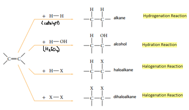 Addition Reactions - Wize High School Grade 12 Chemistry Textbook ...