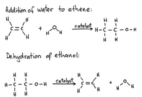 Elimination Reactions - Wize High School Grade 12 Chemistry Textbook ...