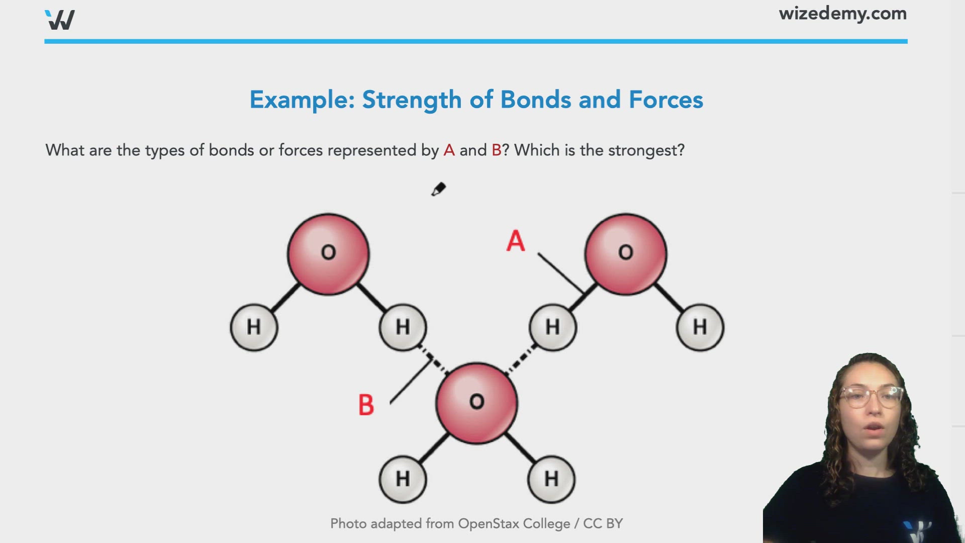 Intermolecular Forces: Hydrogen Bond - Wize University Biology Textbook ...
