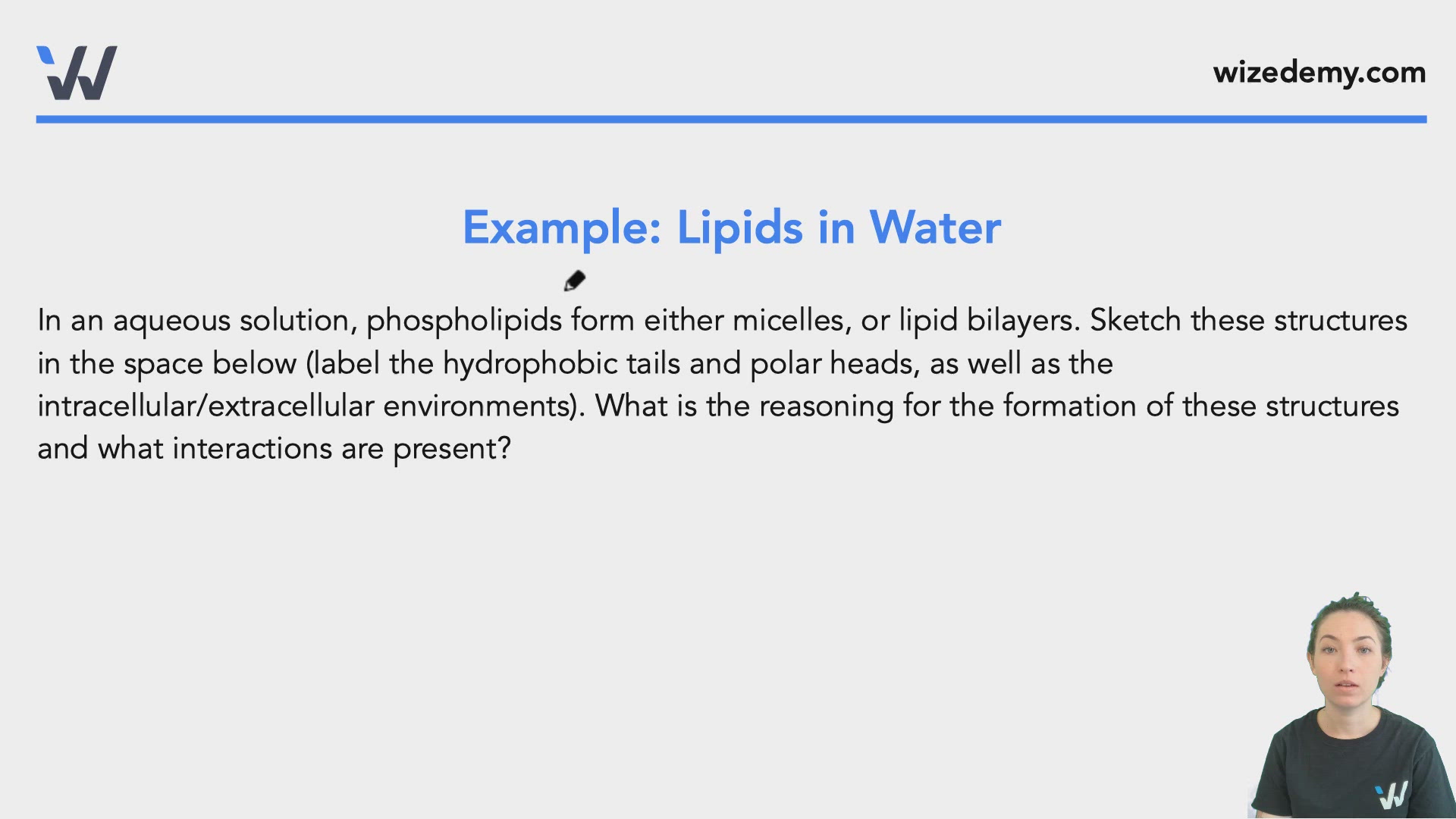 Lipids - Wize AP Biology Textbook | Wizeprep