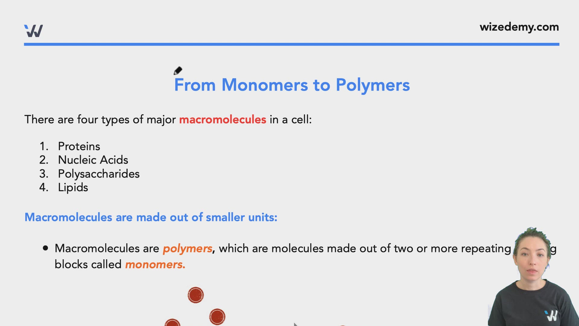 From Monomers To Polymers Wize University Biology Textbook Wizeprep From Monomers To Polymers Wize University Biology Textbook Wizeprep