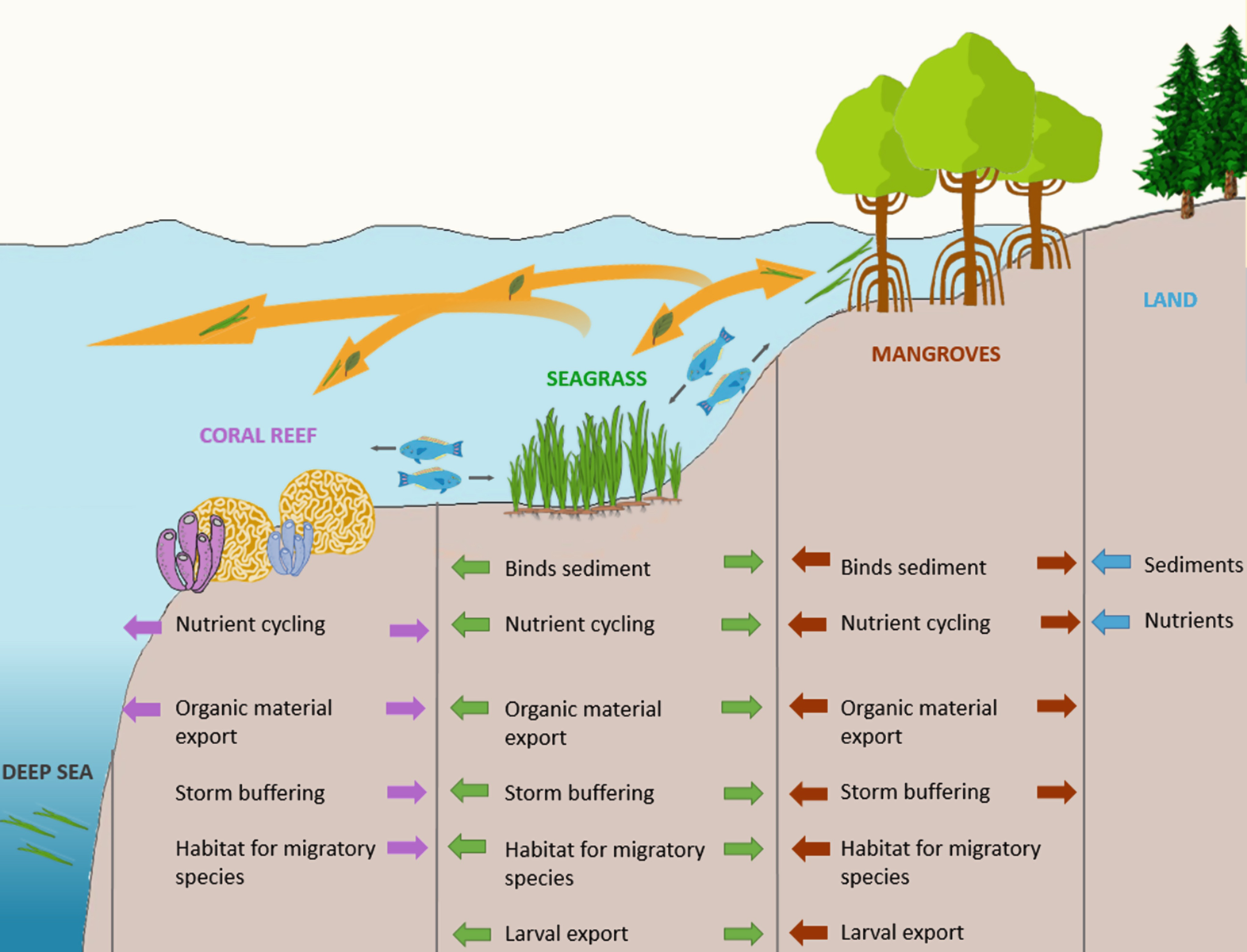 Biomes and Abiotic Factors - Wize University Biology Textbook | Wizeprep