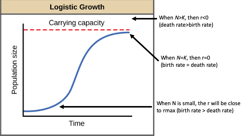 Carrying Capacity Biology