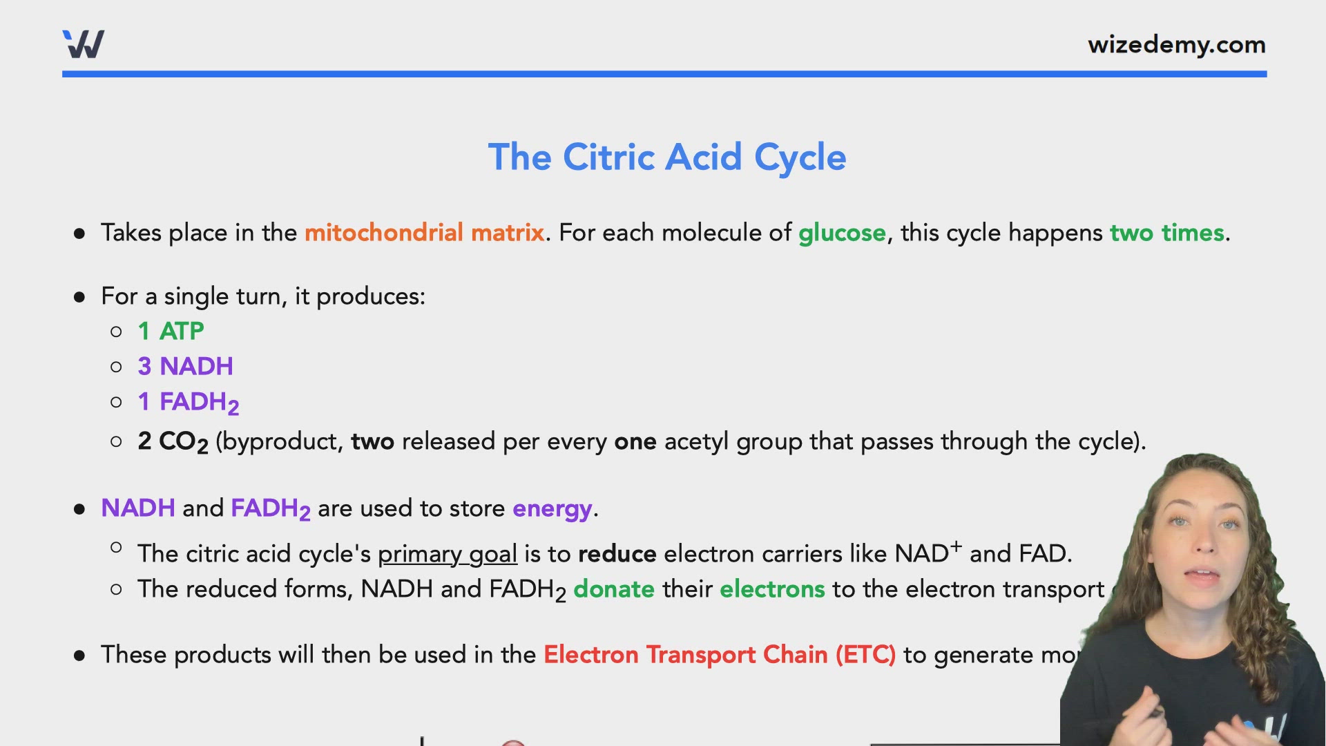 The TCA [Citric Acid / Krebs] Cycle [detailed] - Wize University ...