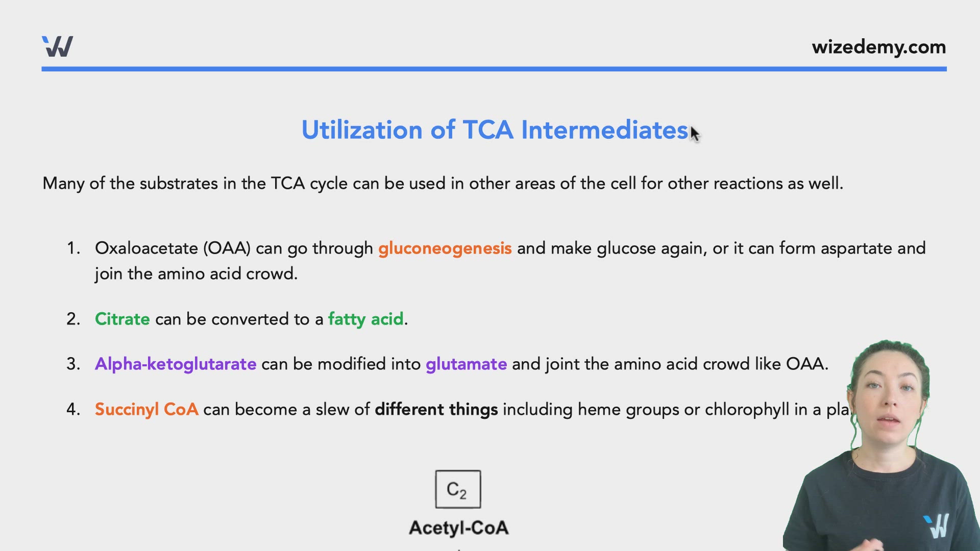 Utilization of TCA [Citric Acid / Krebs] Cycle Intermediates - Wize ...
