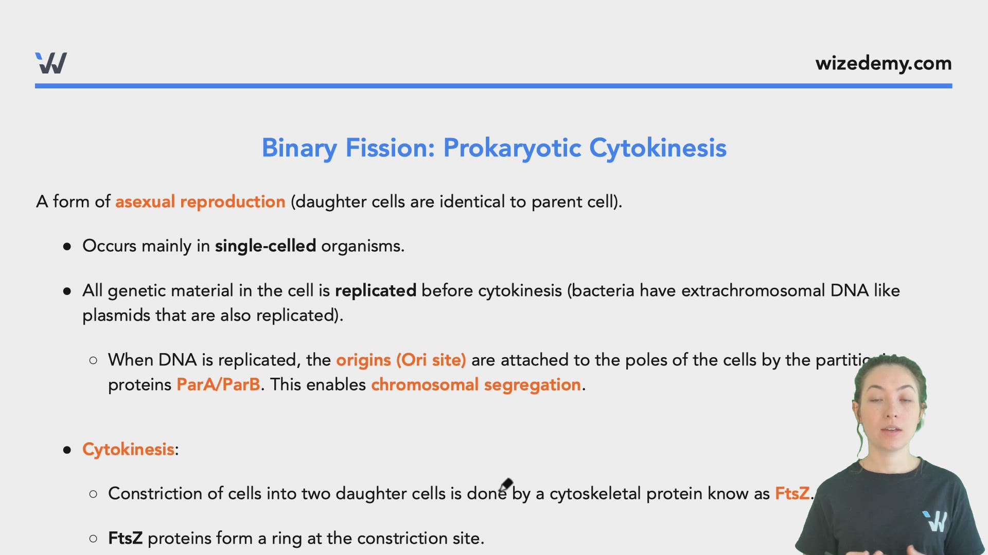 Binary Fission - Wize University Biology Textbook | Wizeprep