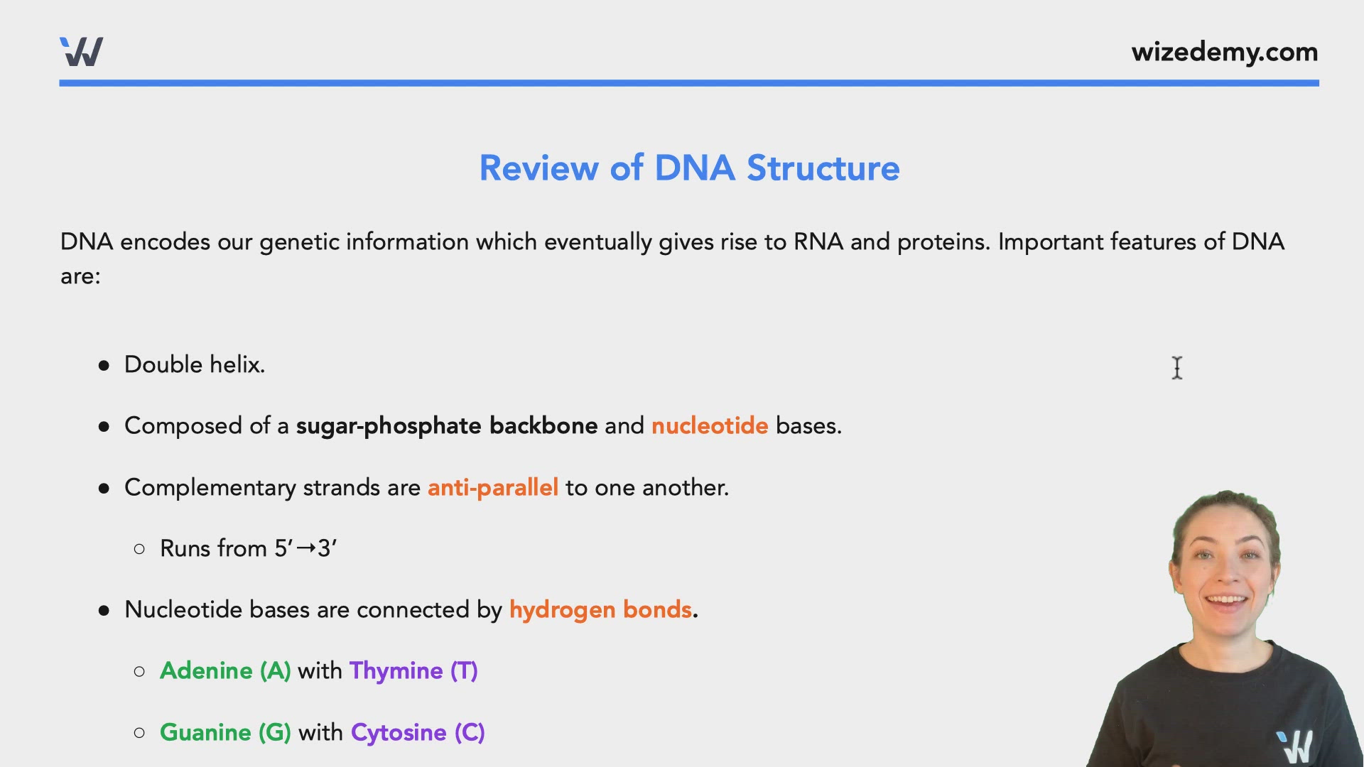 DNA Structure and Sequence - Wize University Biology Textbook | Wizeprep