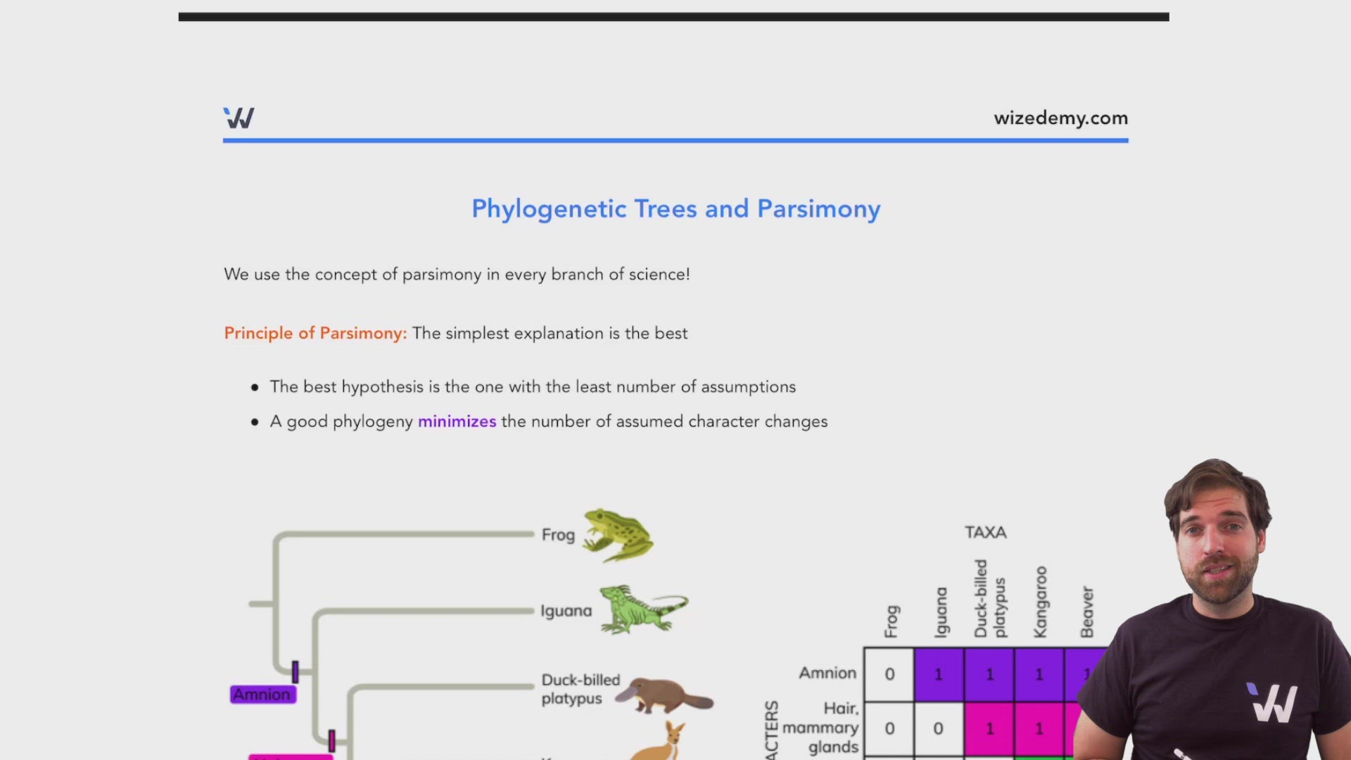 Phylogenetic Trees - Wize University Biology Textbook | Wizeprep