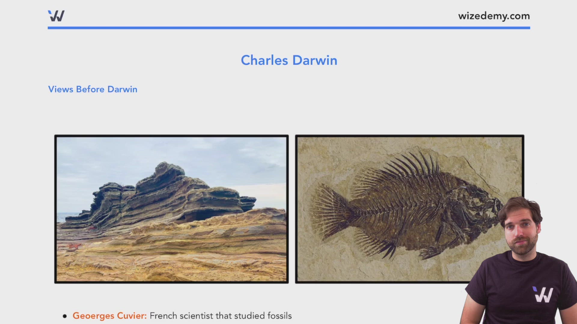 Theory Of Evolution Fish