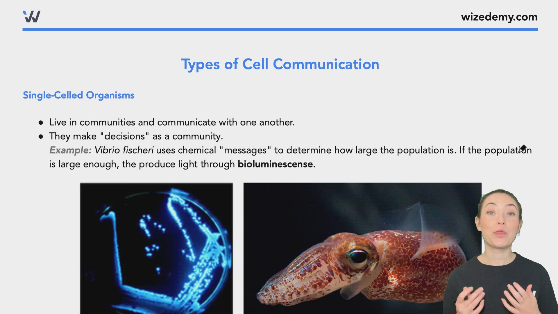 Types of Cell Communication - Wize University Biology Textbook | Wizeprep