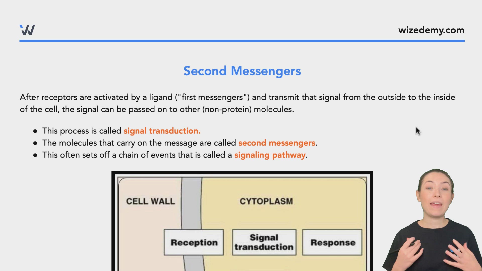 Second Messengers [short] - Wize University Biology Textbook | Wizeprep
