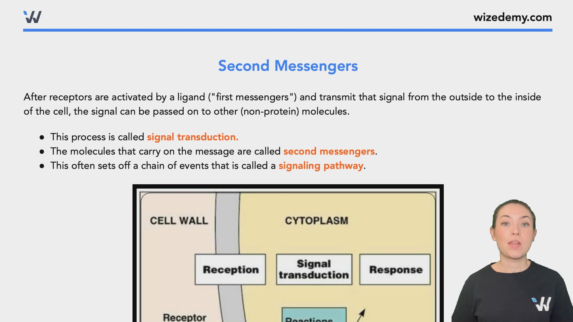 Second Messengers [comprehensive] - Wize University Biology Textbook ...