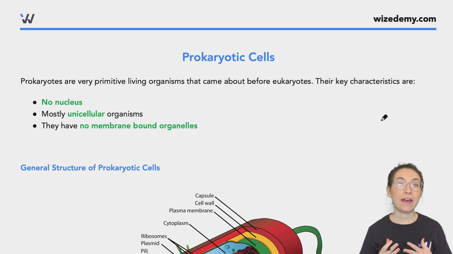 Prokaryotic Cells - Wize University Biology Textbook | Wizeprep
